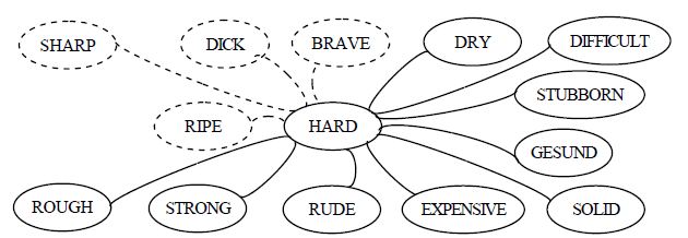 Polysemous Qualities and Universal Networks, Invariance and Diversity